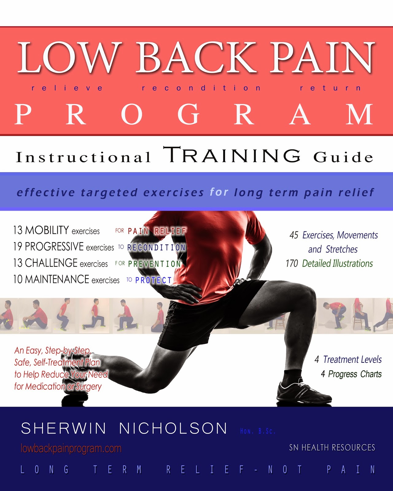 Heaven's Yes I Love Freebies!: Book Review - Low Back Pain Program (Ebook)