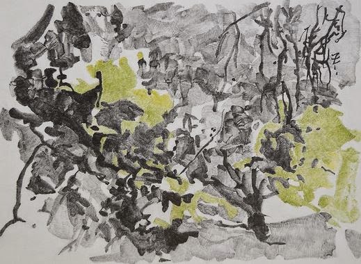 Drawing Skills: Part 3 - Assignment 3 - Drawing undergrowth