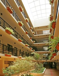 Raya Garden: Features