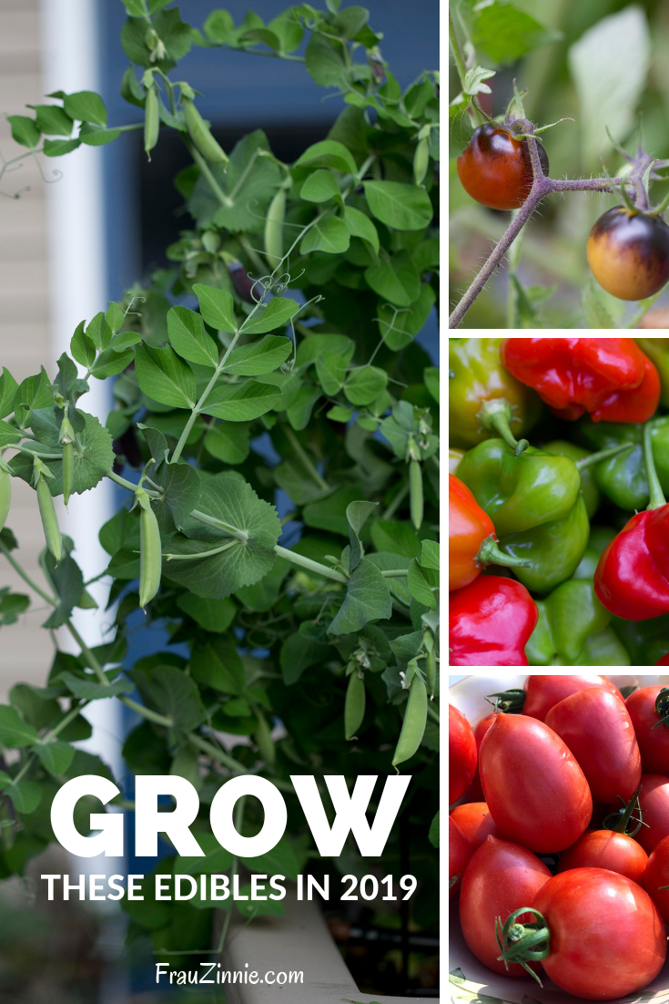Seven edibles to grow in your 2019 garden | Frau Zinnie