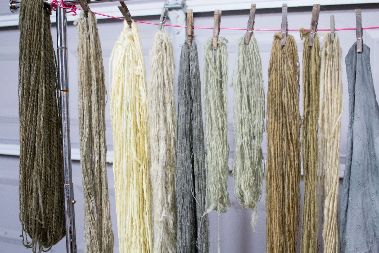 Snail Crafts: Fennel and Rosemary Dye Fun