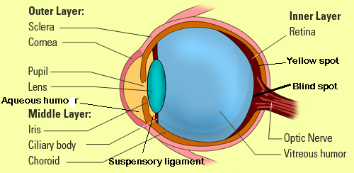 SCIENCE (FORM 2): Chapter 1 Science Form 2