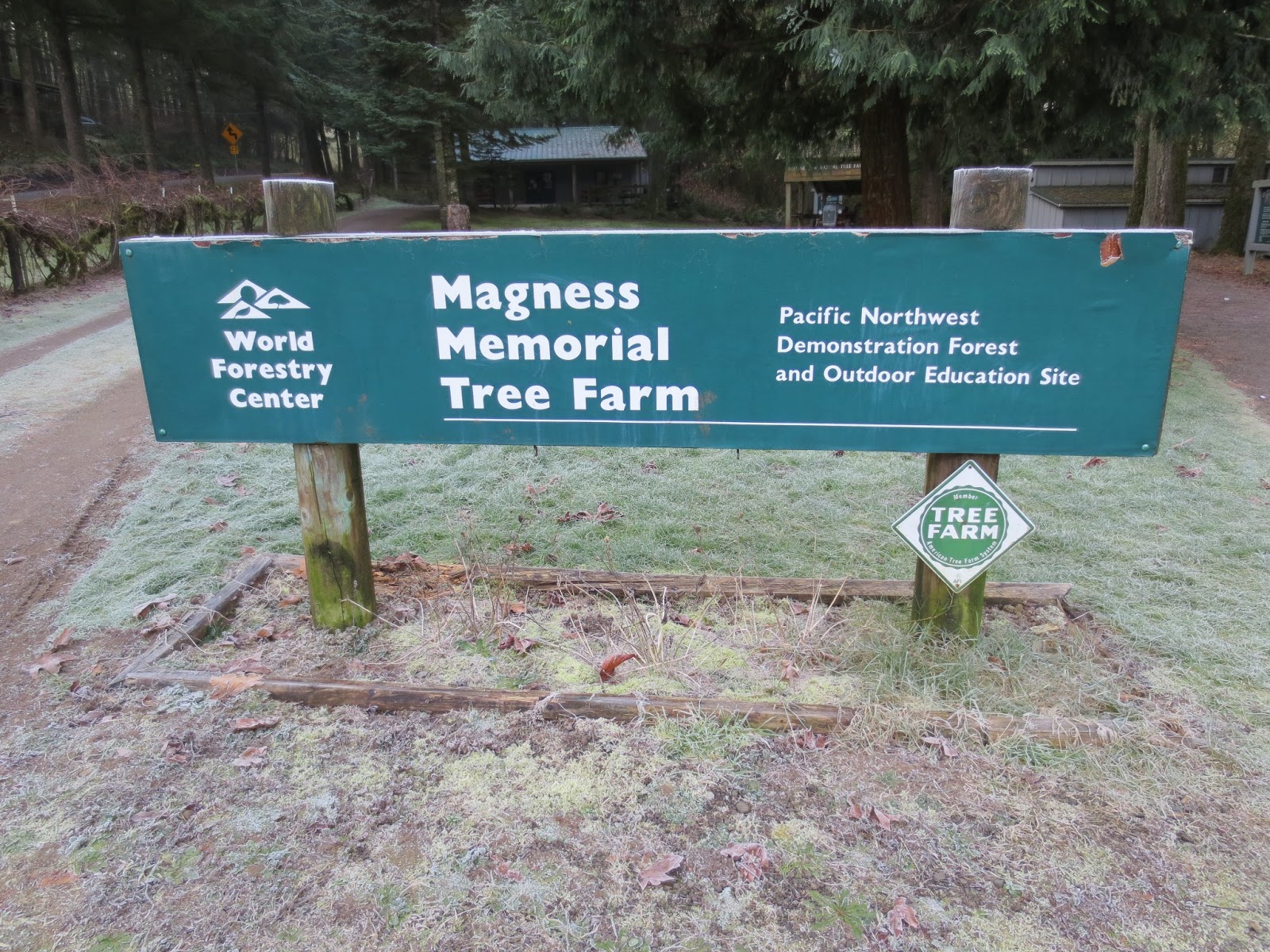 Under the Sky: SW ~ Magness Memorial Tree Farm