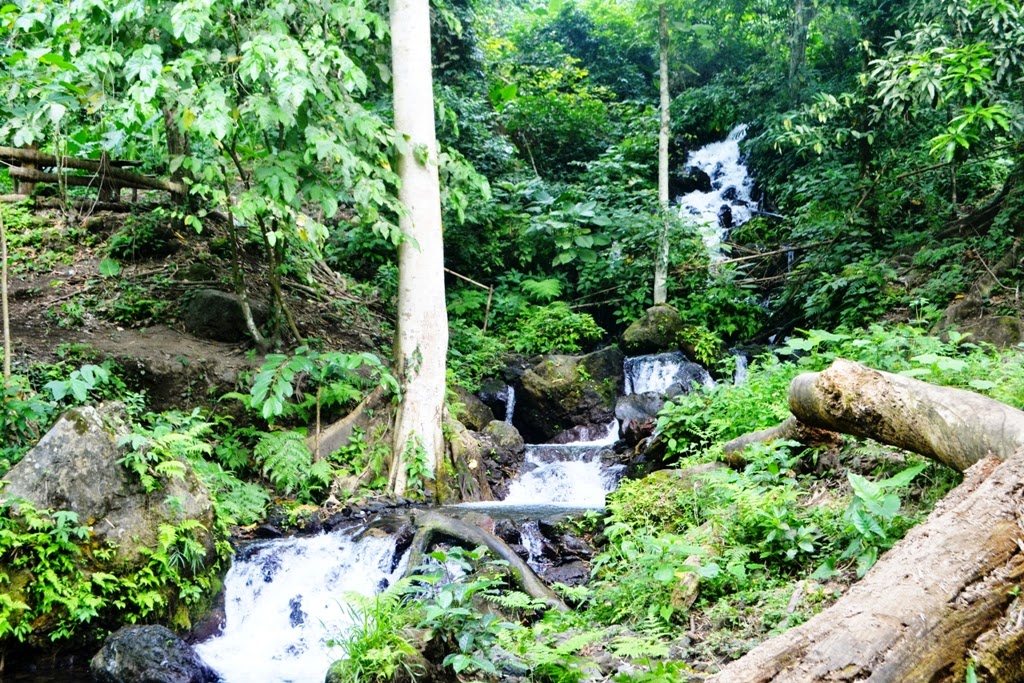 The Dr. & Mrs. Fun & anything under the Sun: AMBON-AMBON & MALAGASLAS ...