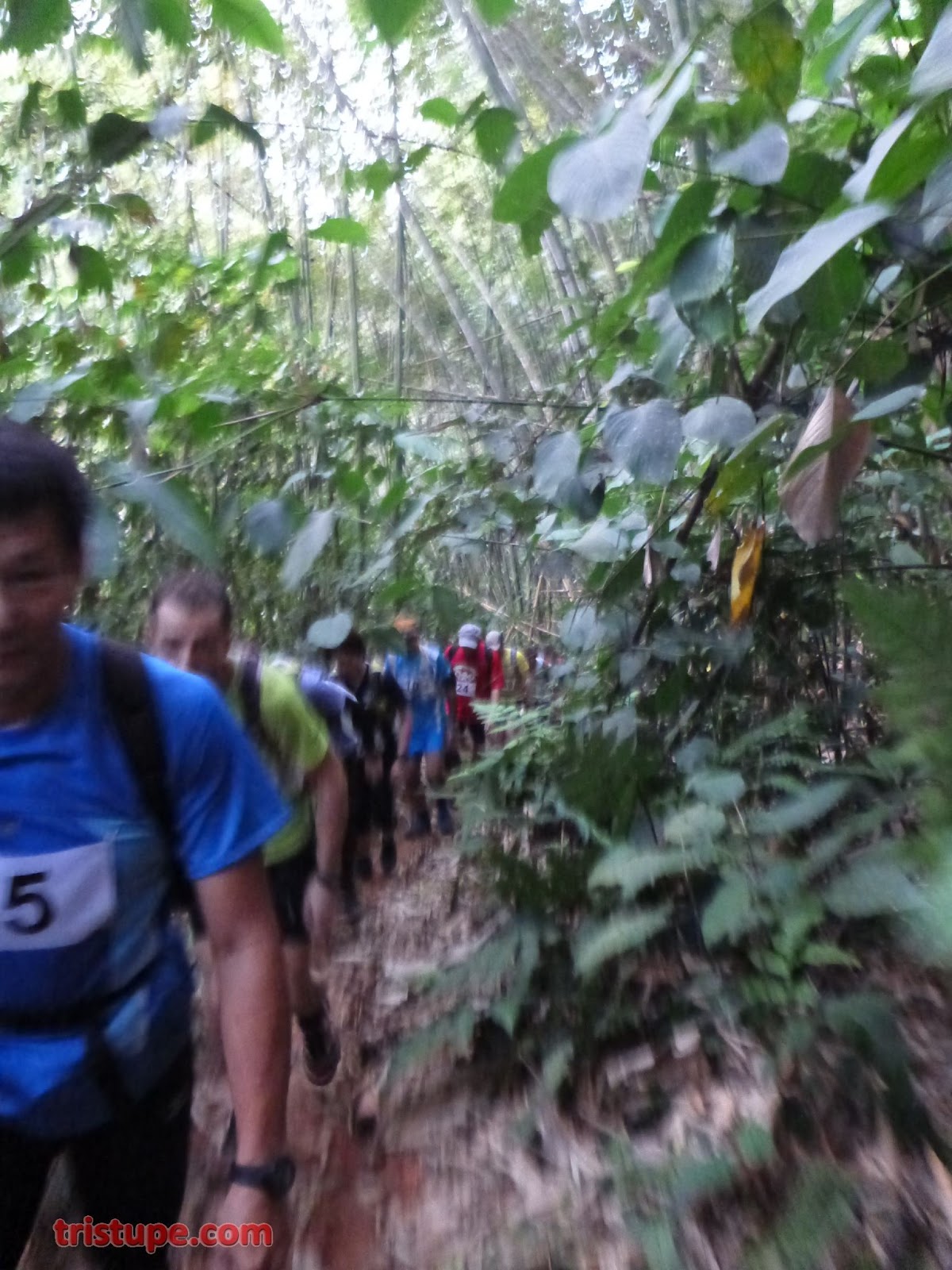 International Hash Challenge 2013 Race Report ~ TRISTUPE.COM