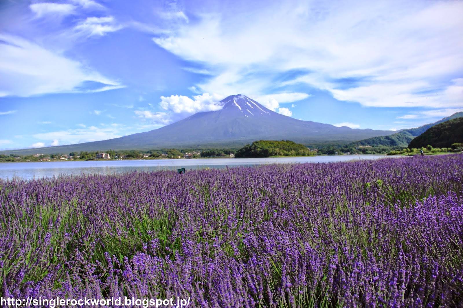 Love-nder in Lake Kawaguchi |singlerockworld A Japan travel blog