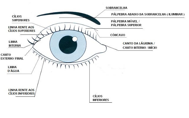 Puro Glam: Nomes técnicos das partes dos olhos
