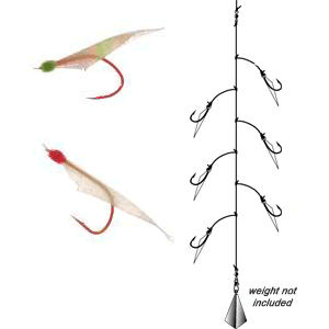 Dillon Beach Fishing