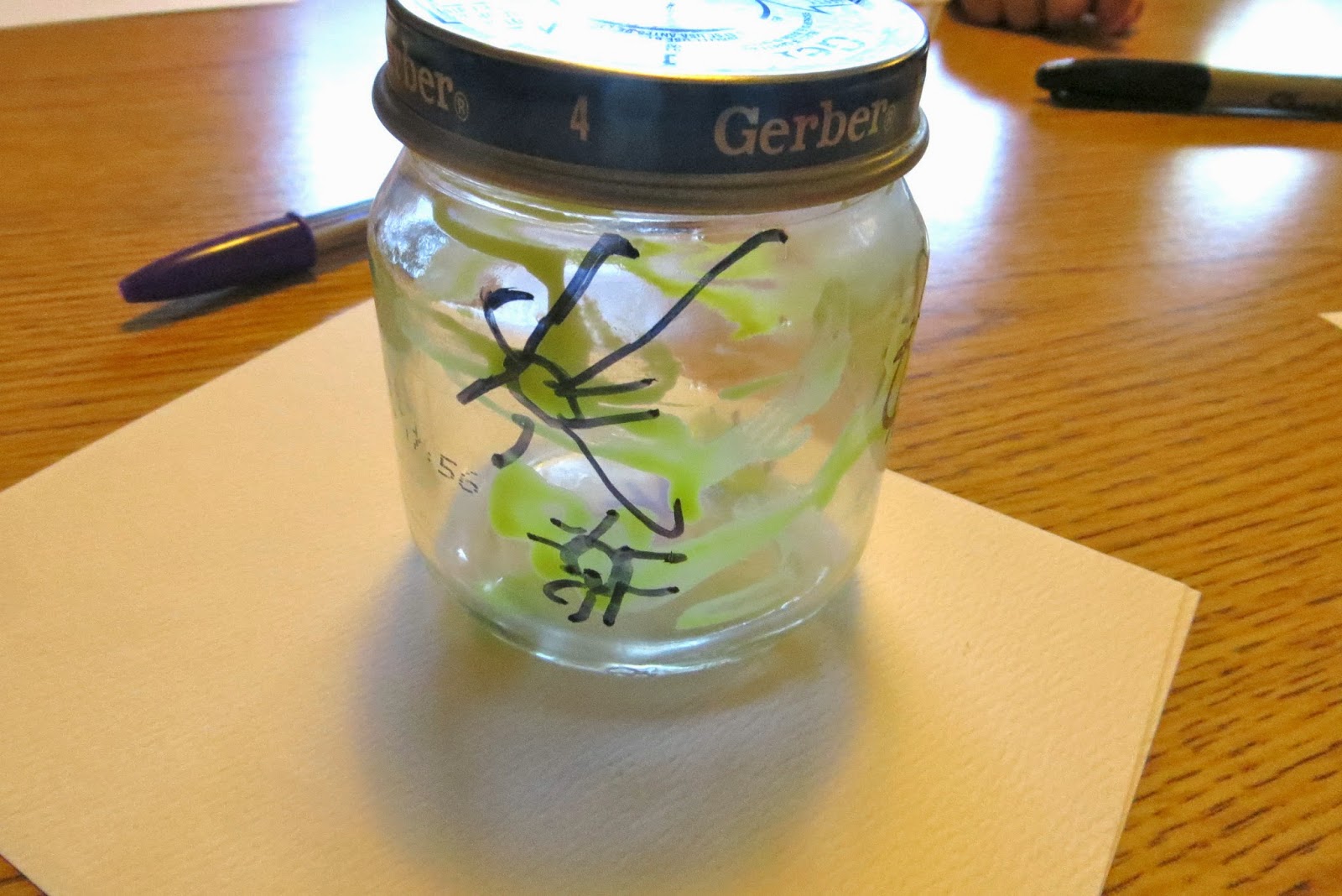 Ms. Sara's Preschool Blog: Last Week of Preschool - Camping Theme