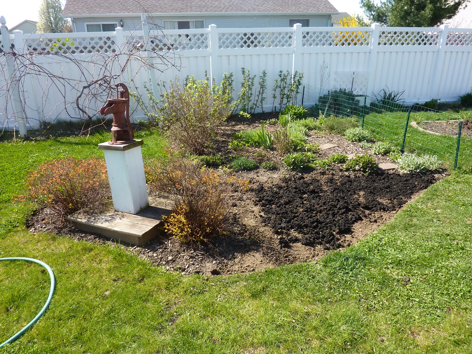 Cozy Thyme Cottage: Expanding flower bed & Planting radishes