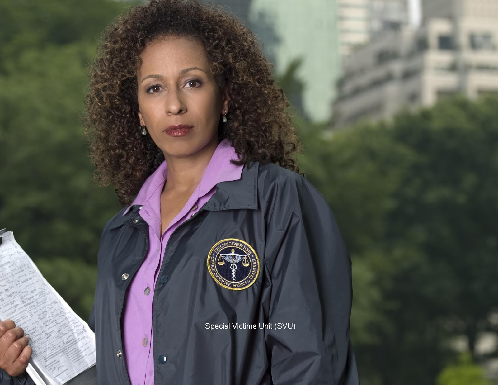 Law & Order Special Victims Unit (SVU): Law and Order SVU Cast