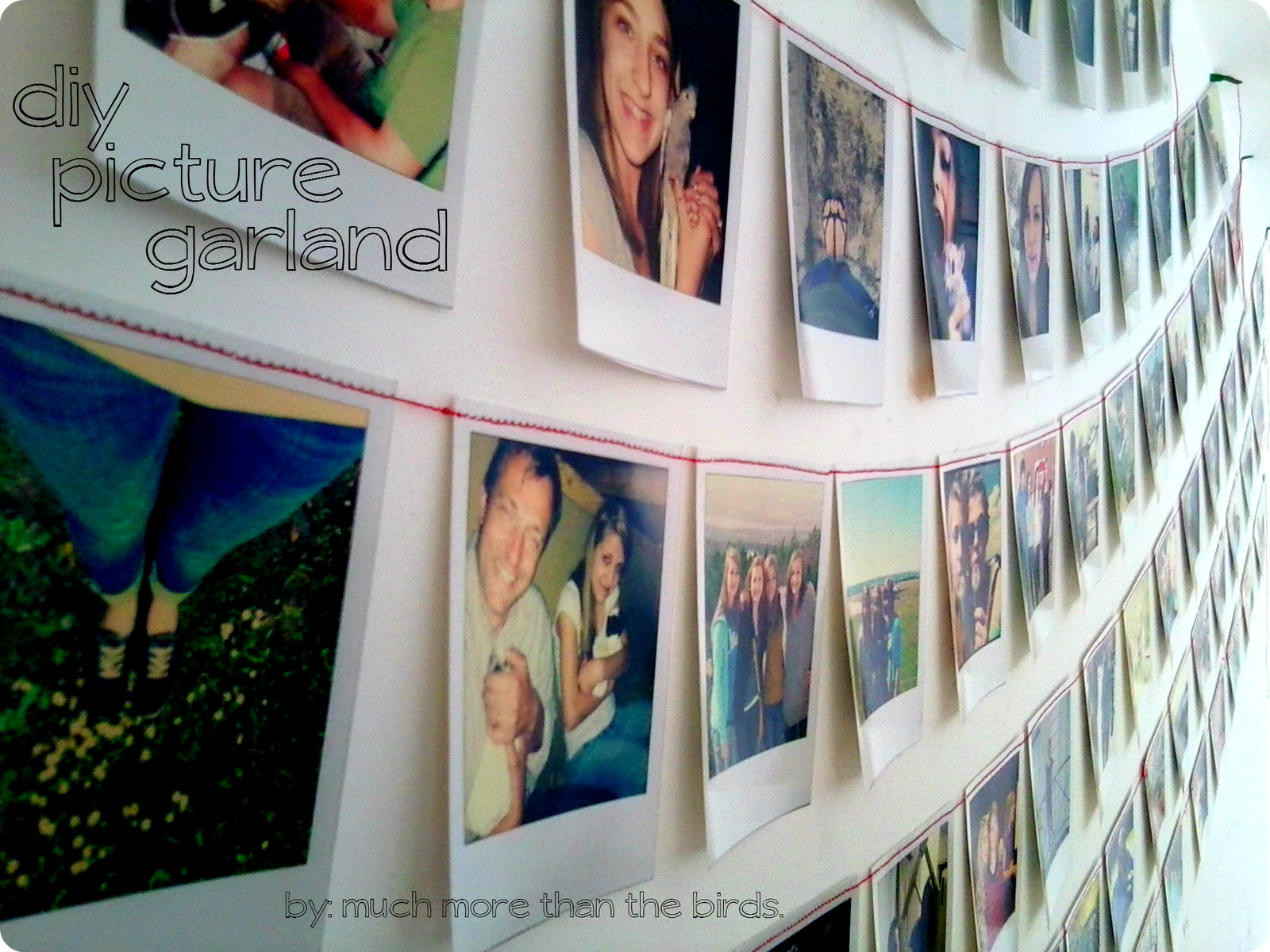 much more than the birds: diy photo garland