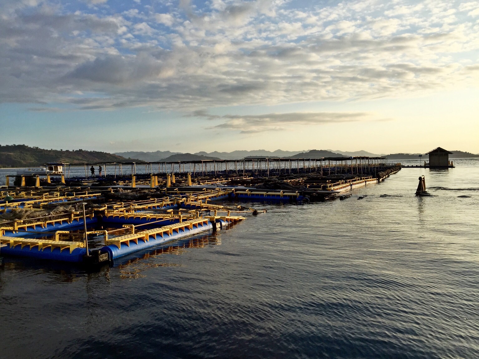 Septemaria: Lobster Farms