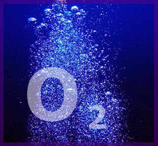 OXÍGENO (O2) E HIDRÓGENO (H2)