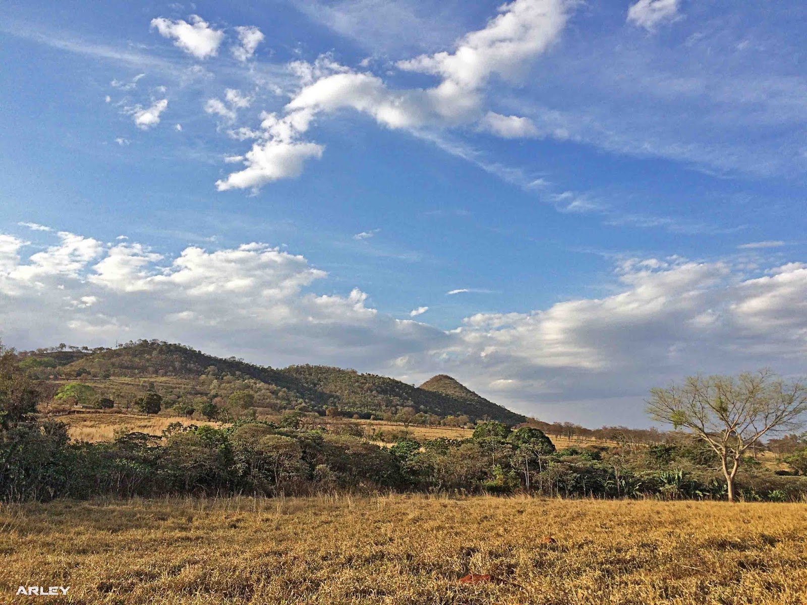 Quando em Morro Agudo Paracatu Minas Gerais