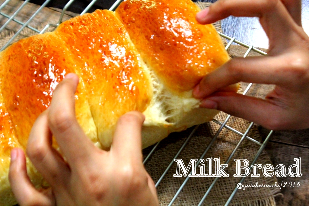 Dapoer Joglo: Milk Bread & Roti Boy Copycat