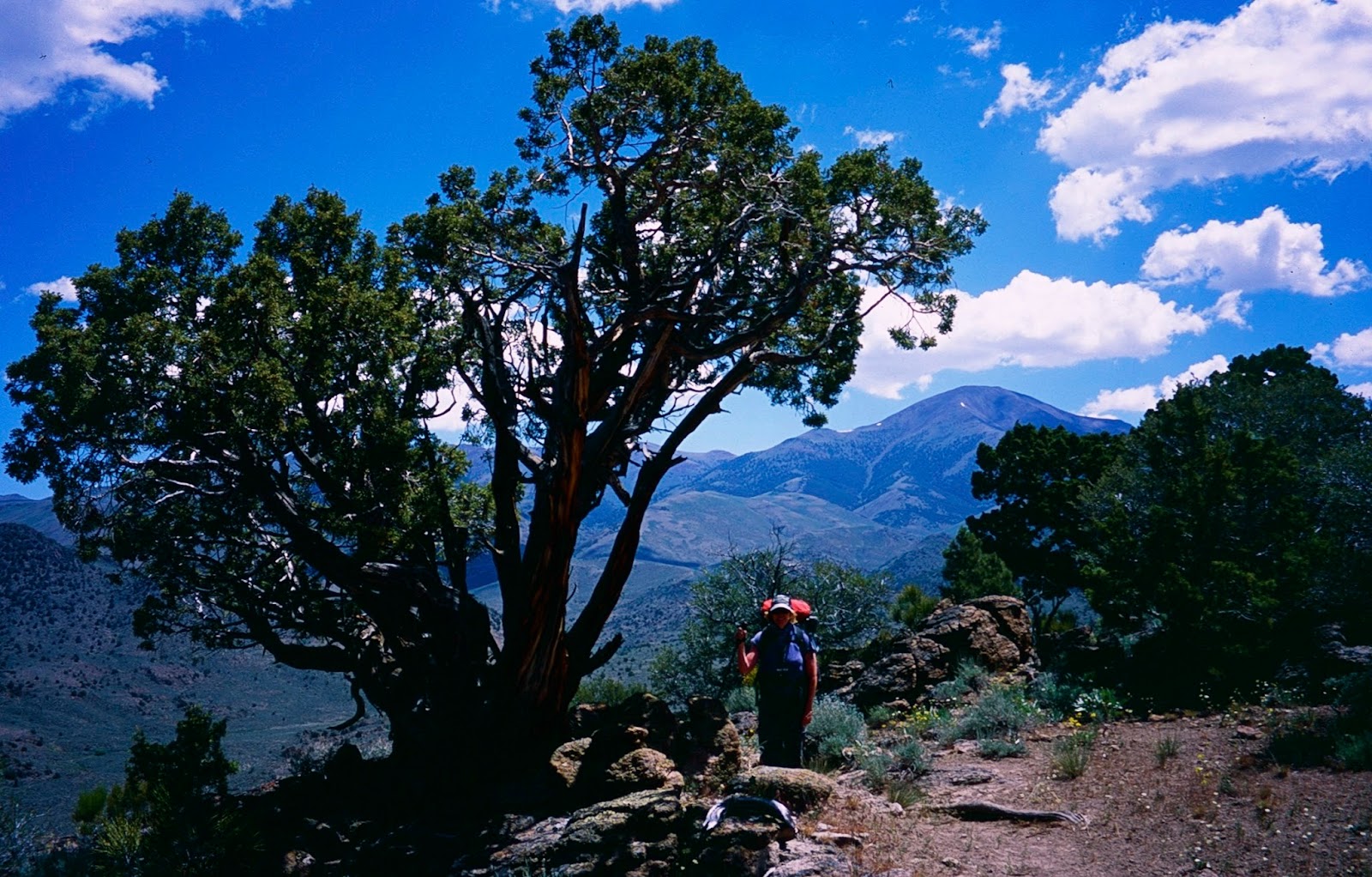One Day in America: Nevada Beyond the Neon: The Bruneau and Reese Rivers