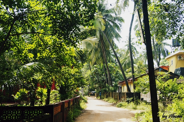 Totul despre Goa - Plaja, cluburi, distractie intr-un weekend de vis ...