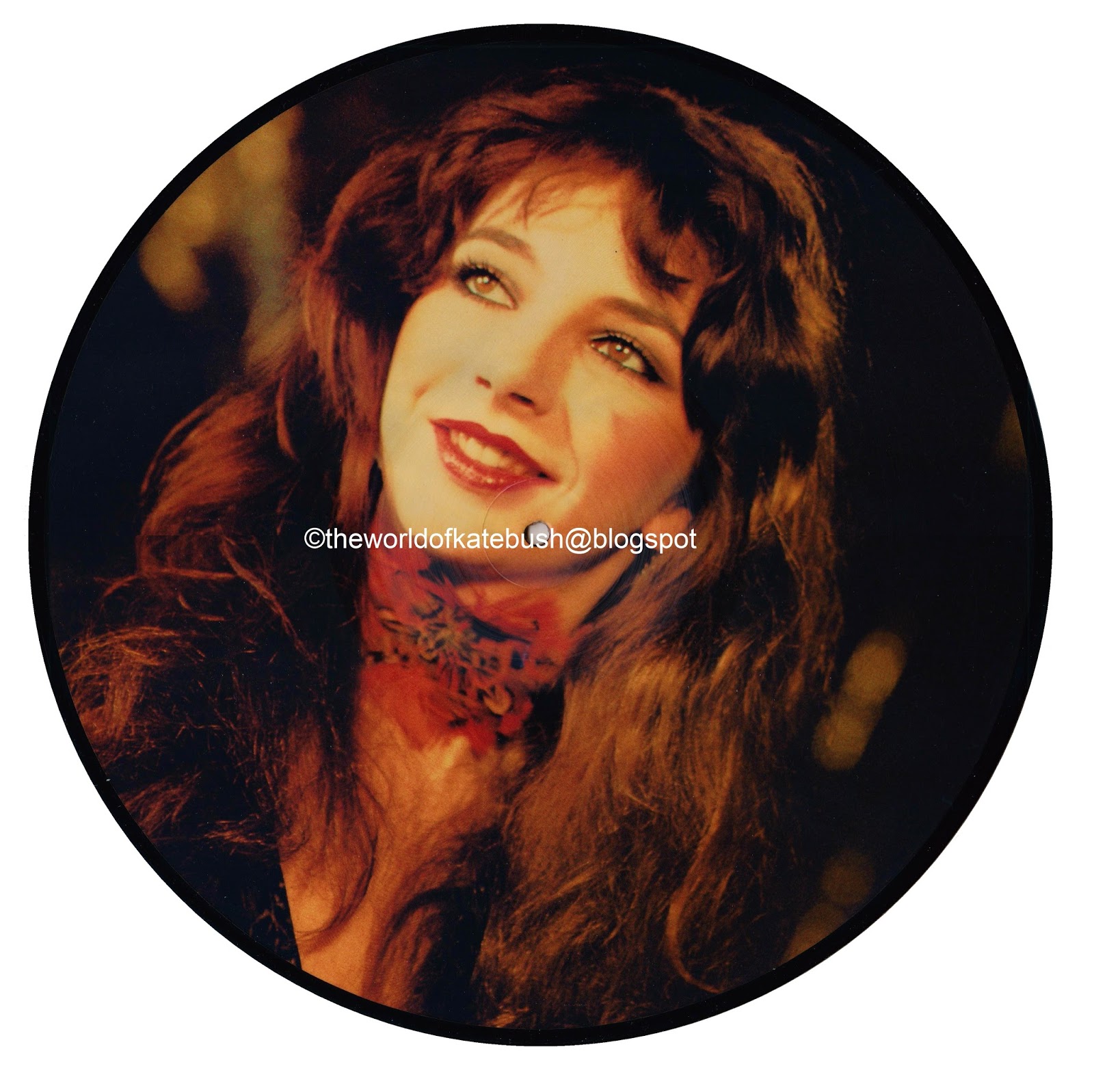 THE WORLD OF KATE BUSH: Discussion Records Interview - 12" Picture Disc