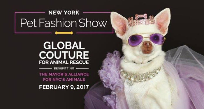 New York Pet Fashion Week 2017 - Feb 9 | Australian Dog Lover