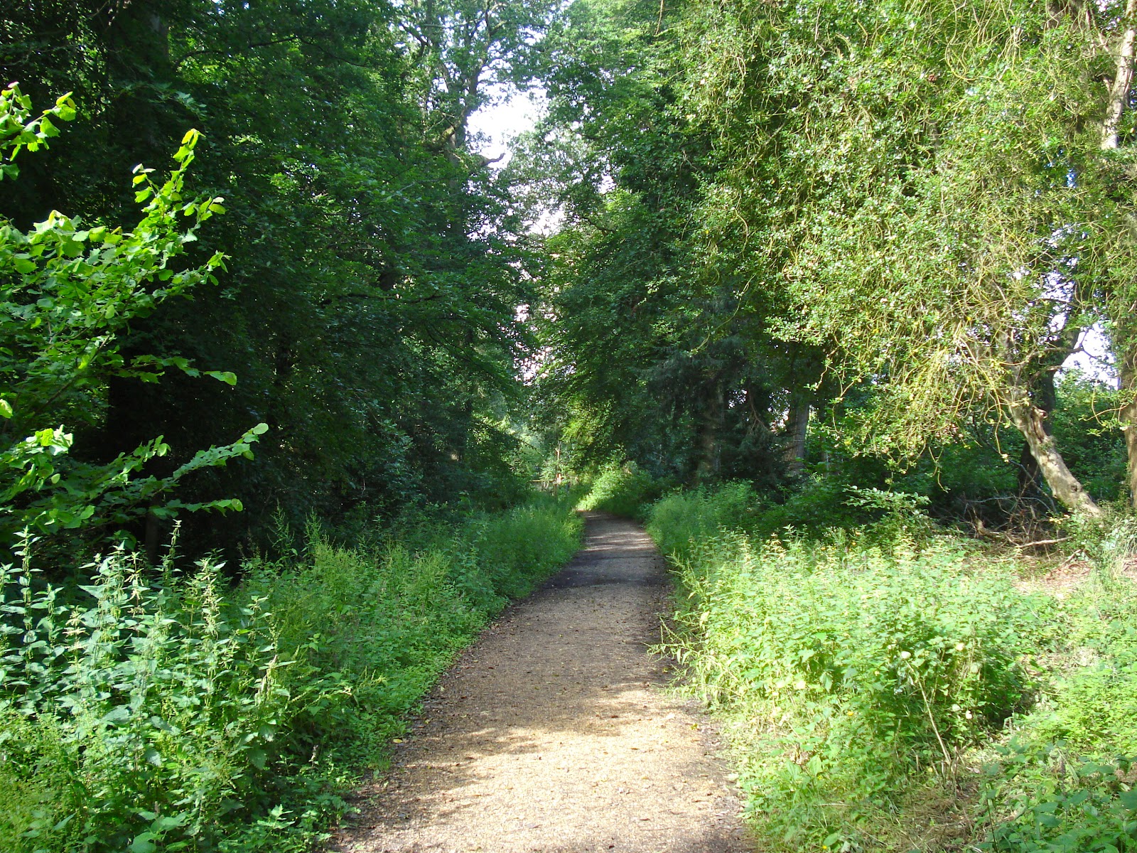 Alexandra D. Foster Destinations Perfected: Lyndhurst, England - Day ...