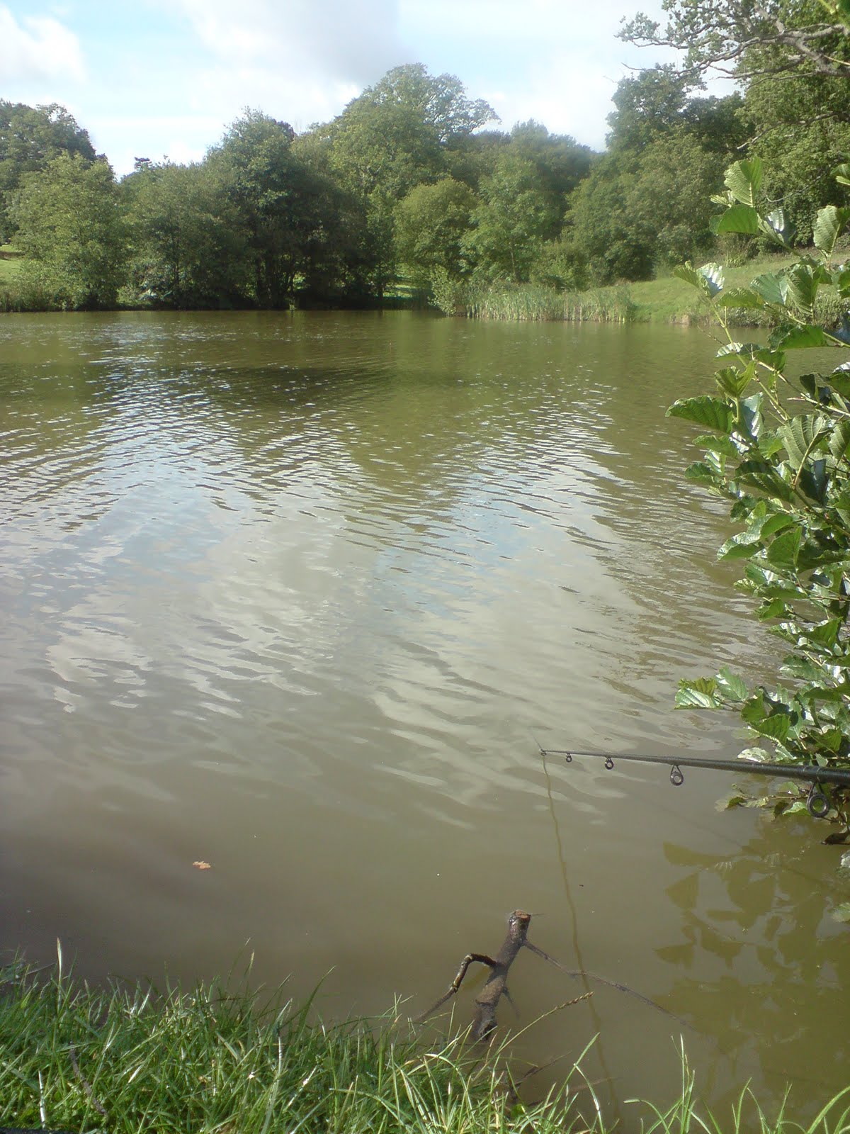 ProperFishermanProductions: Fishing the method feeder with float bite ...