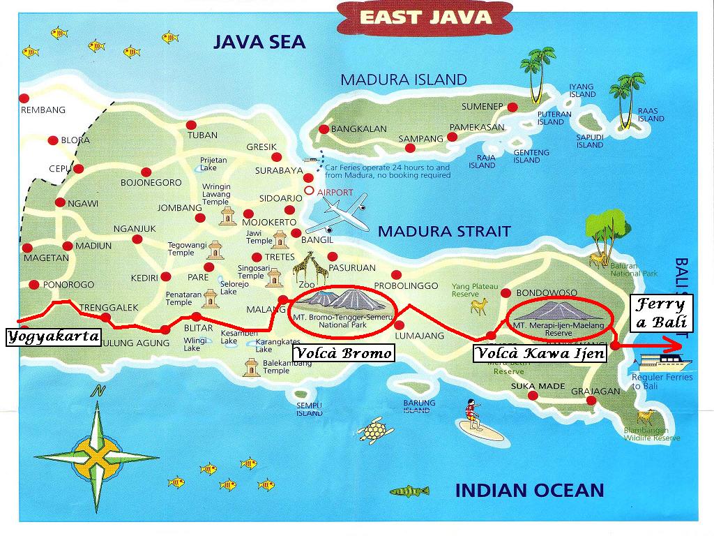 Fem les maletes: Dia 7, 8 i 9: Ruta dels volcans Bromo i Kawah Ijen