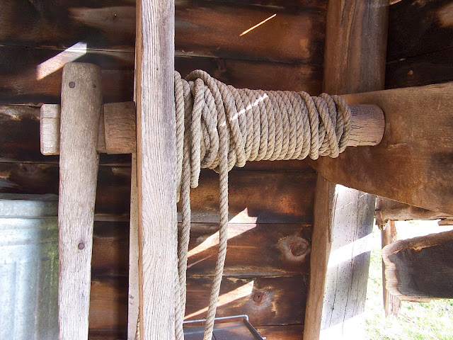 Wayward Goose Farm: The pig barn