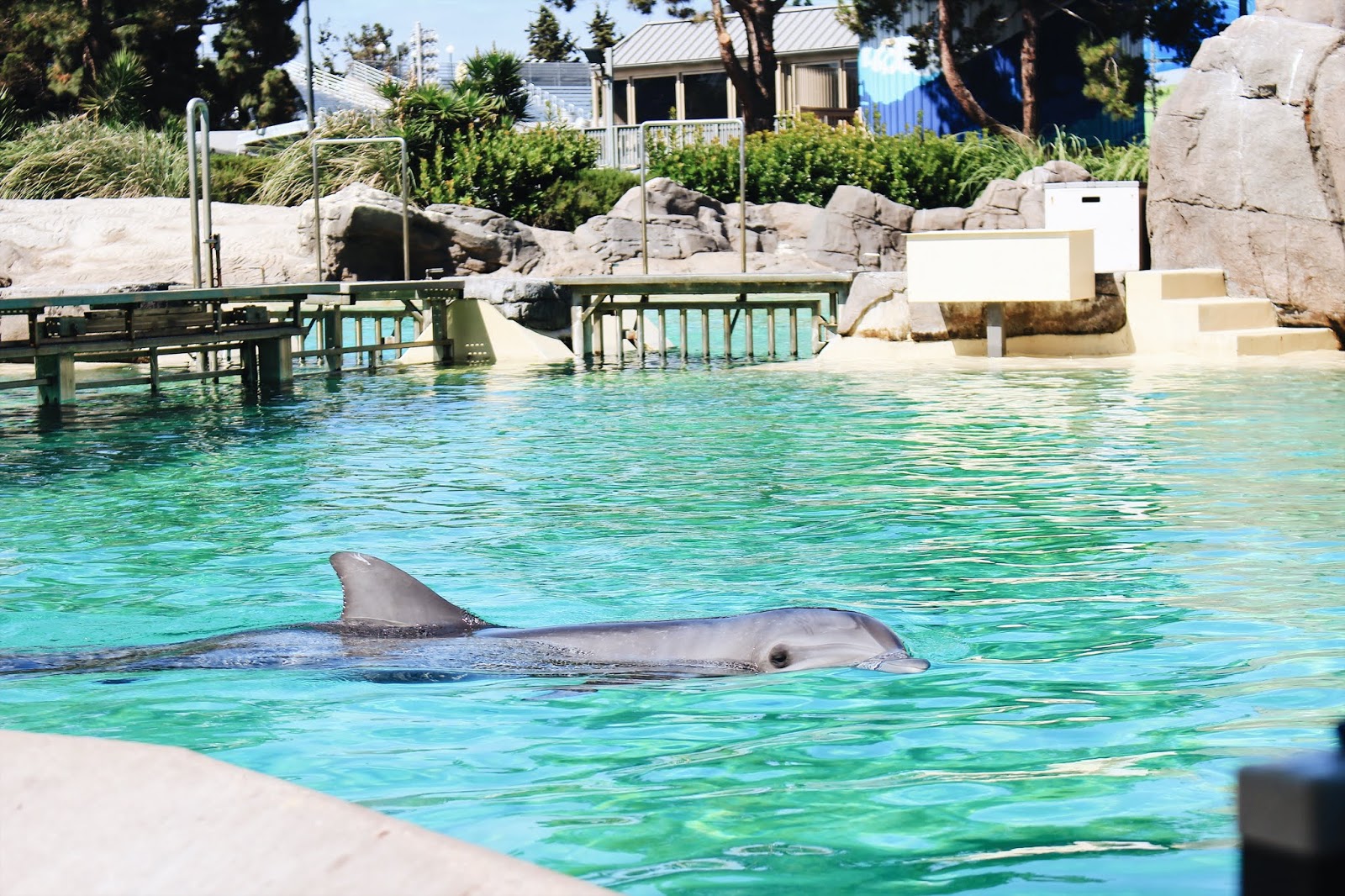 San Diego Photo Diary (SeaWorld & Beach) - The Trendy Chick