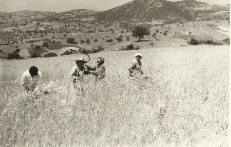 Ασπρόκαμπος Κορινθίας: Ιστορικά στοιχεία & παλιές φωτογραφίες για τον ...