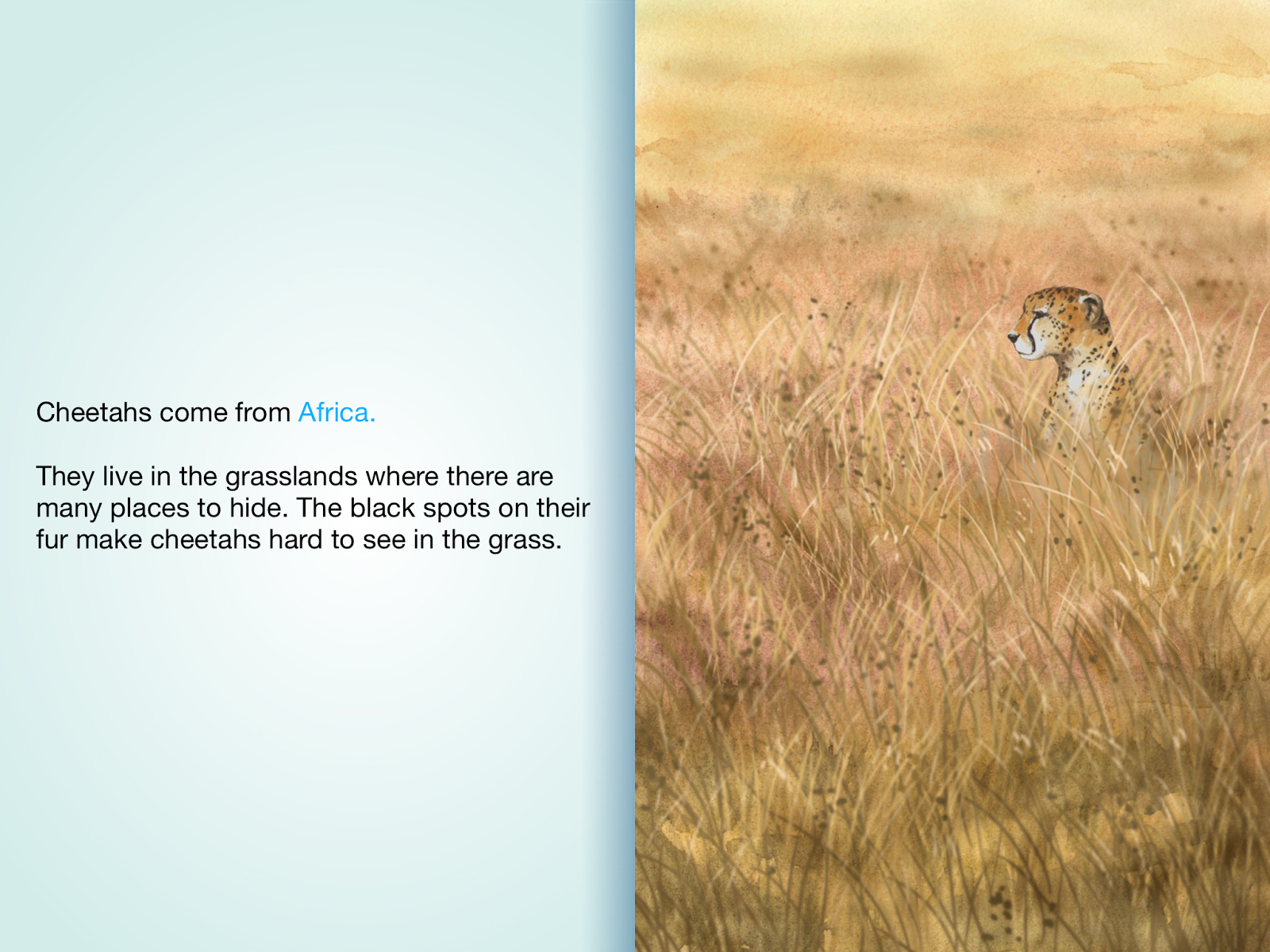 Flamingo Fabulous: FarFaria Review and Giveaway