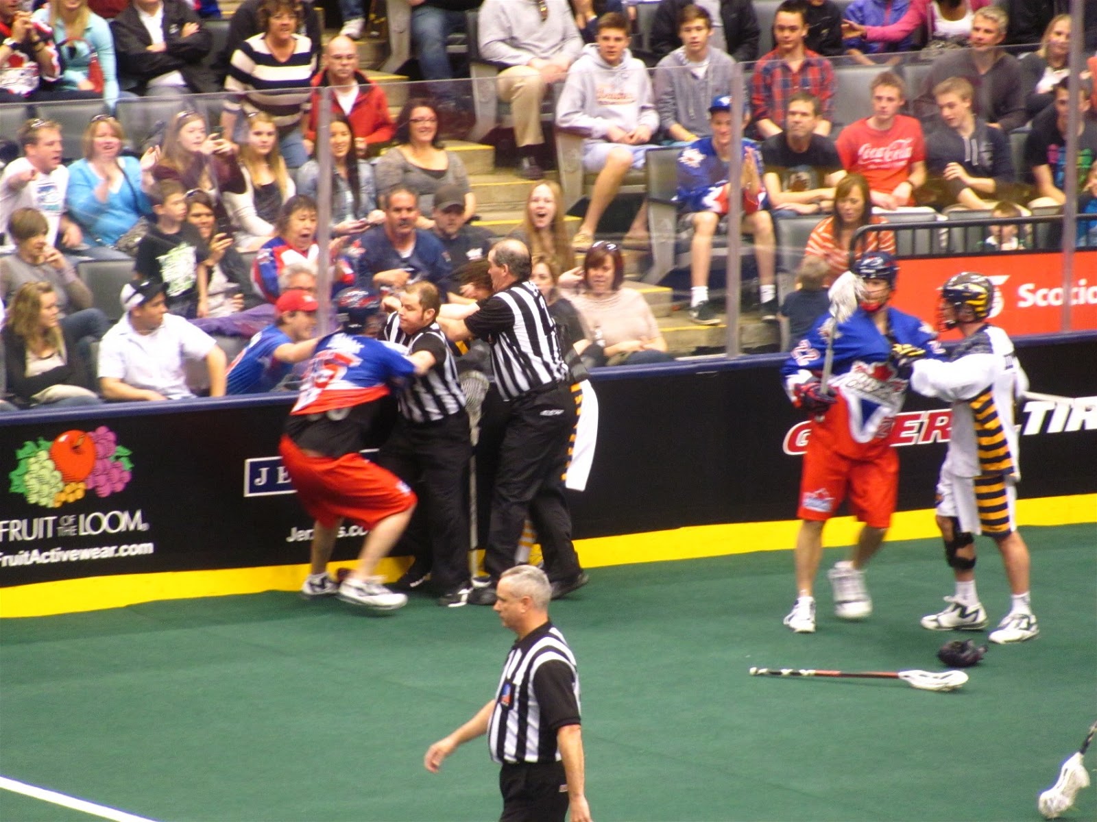 The World of Gord: Minnesota Swarm Cancels Rocks Party