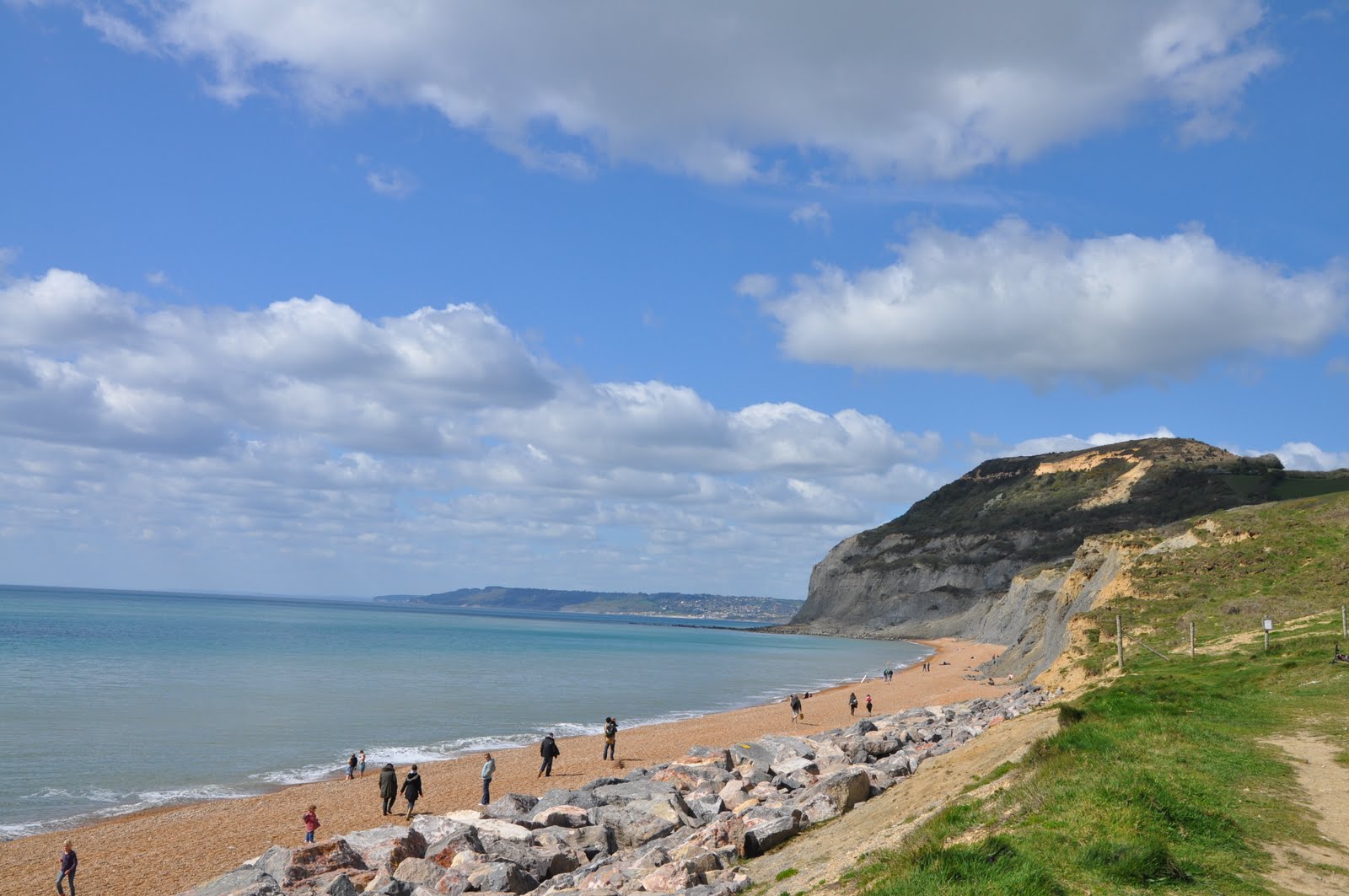 Cats, Dogs and Eiderdowns: Golden Cap, Dorset