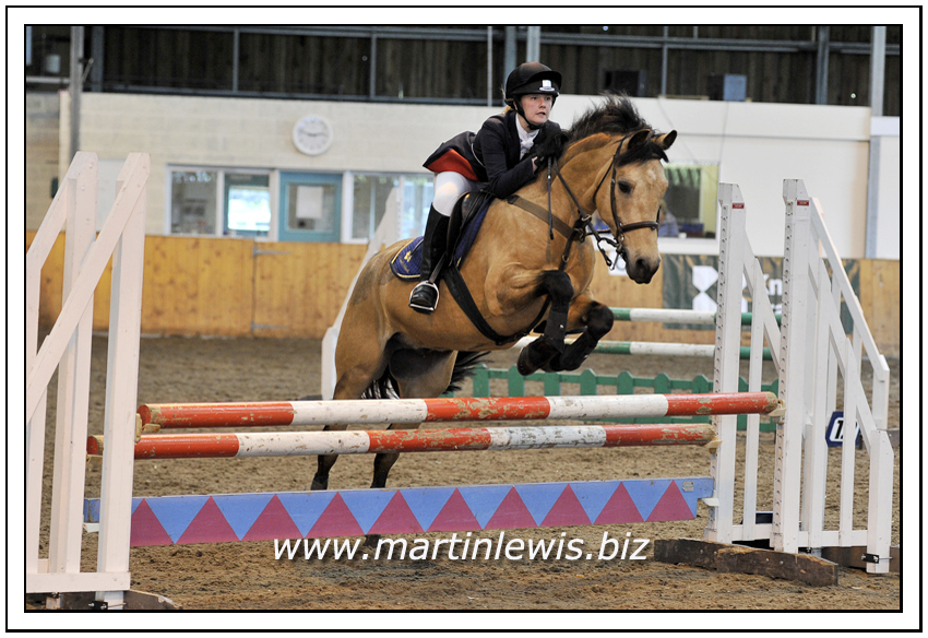 Hampshire Wedding Photographers: Show Jumping at Sparsholt College ...