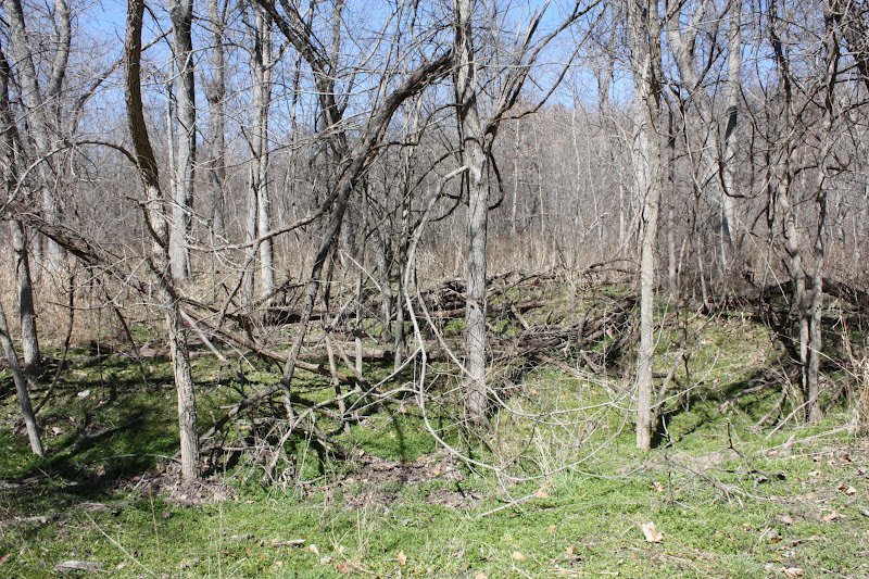 Cherokee County, Oklahoma - Ozark Mtn foothills