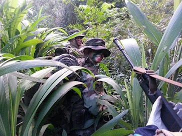 Defensa y Armas: Vehículos blindados: Avibras Guara 4WS.