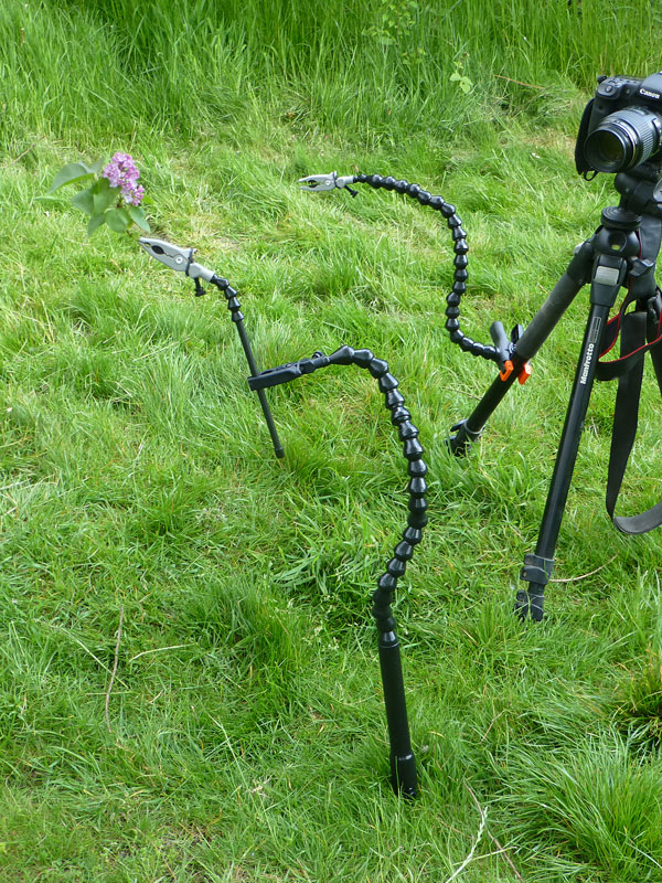 The NEW Wimberley Plamp 2, Plamp G and Plamp Extension, Chatty video ...