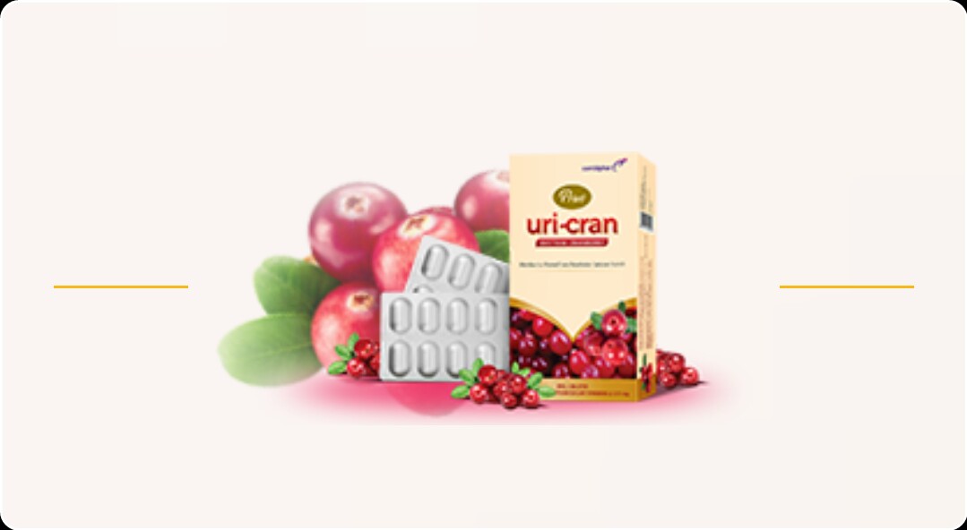 Traveling Nyaman, Jauh dari Anyang-anyangan dengan Prive Uri-cran ...