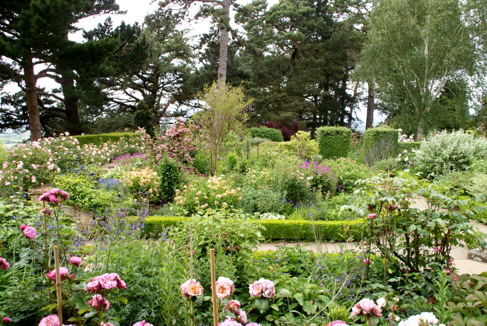 Organic Garden Dreams: Kiftsgate Court Gardens, England I