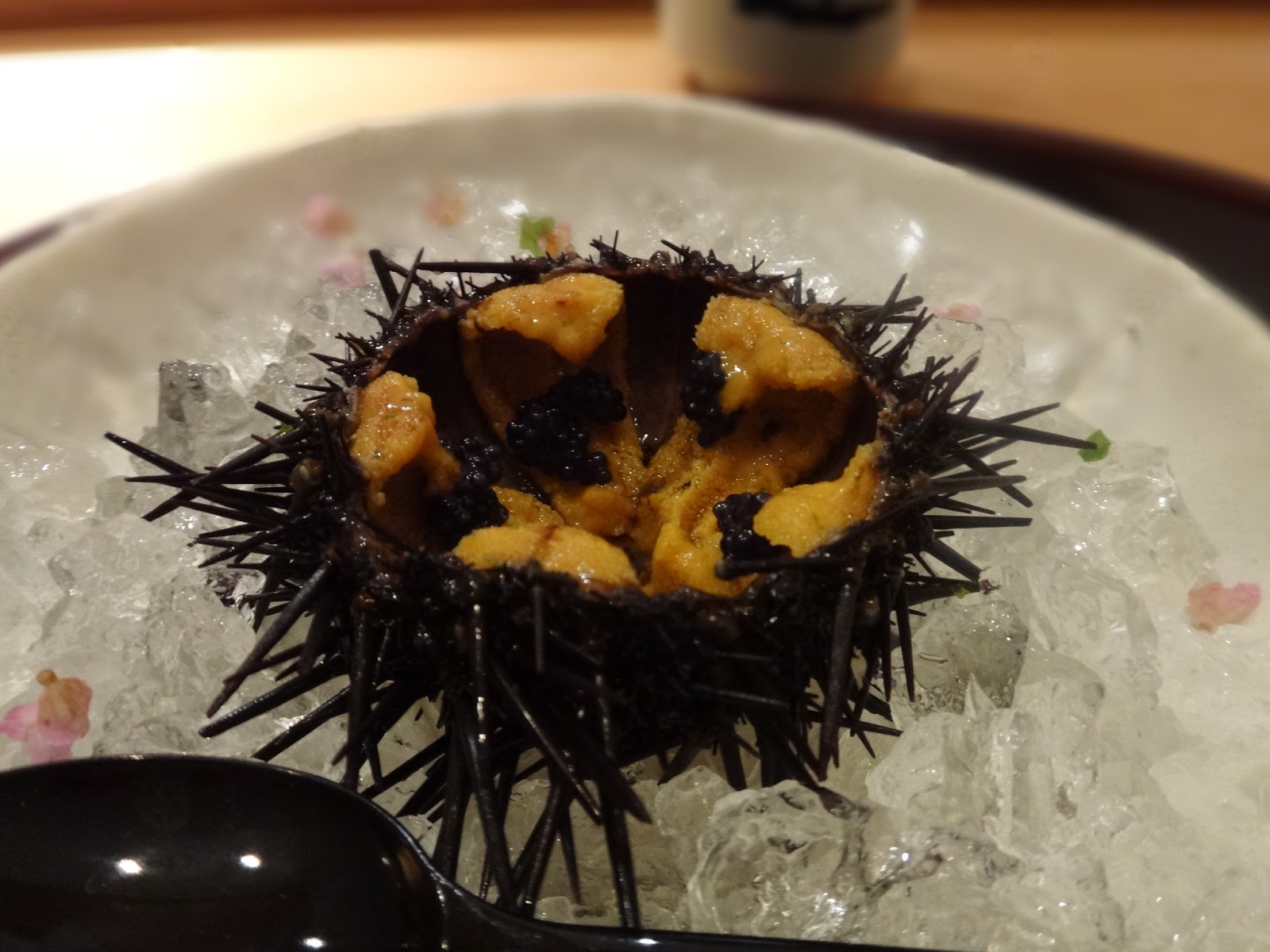 ate too much: Tatsuya