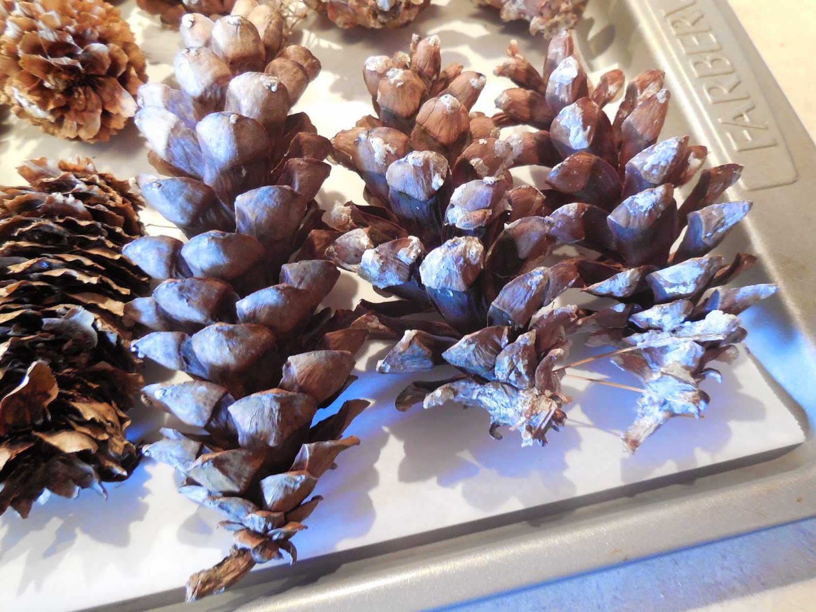 Backyard Patch Herbal Blog: Advent How to - Scented Pine Cones