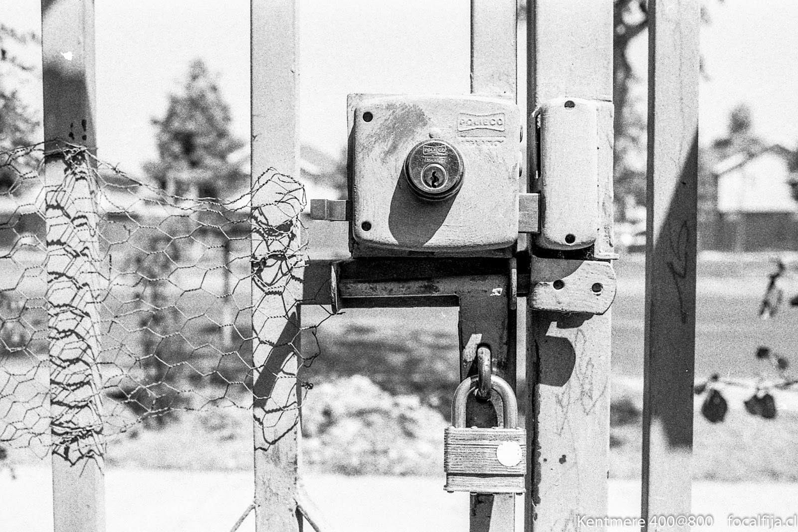 Kentmere 400 Push @800 @1600 @3200 Revelado con Rodinal