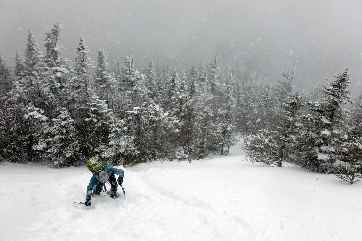 The Saratoga Skier and Hiker: Gothics Mountain, cable route: 02/23/2013