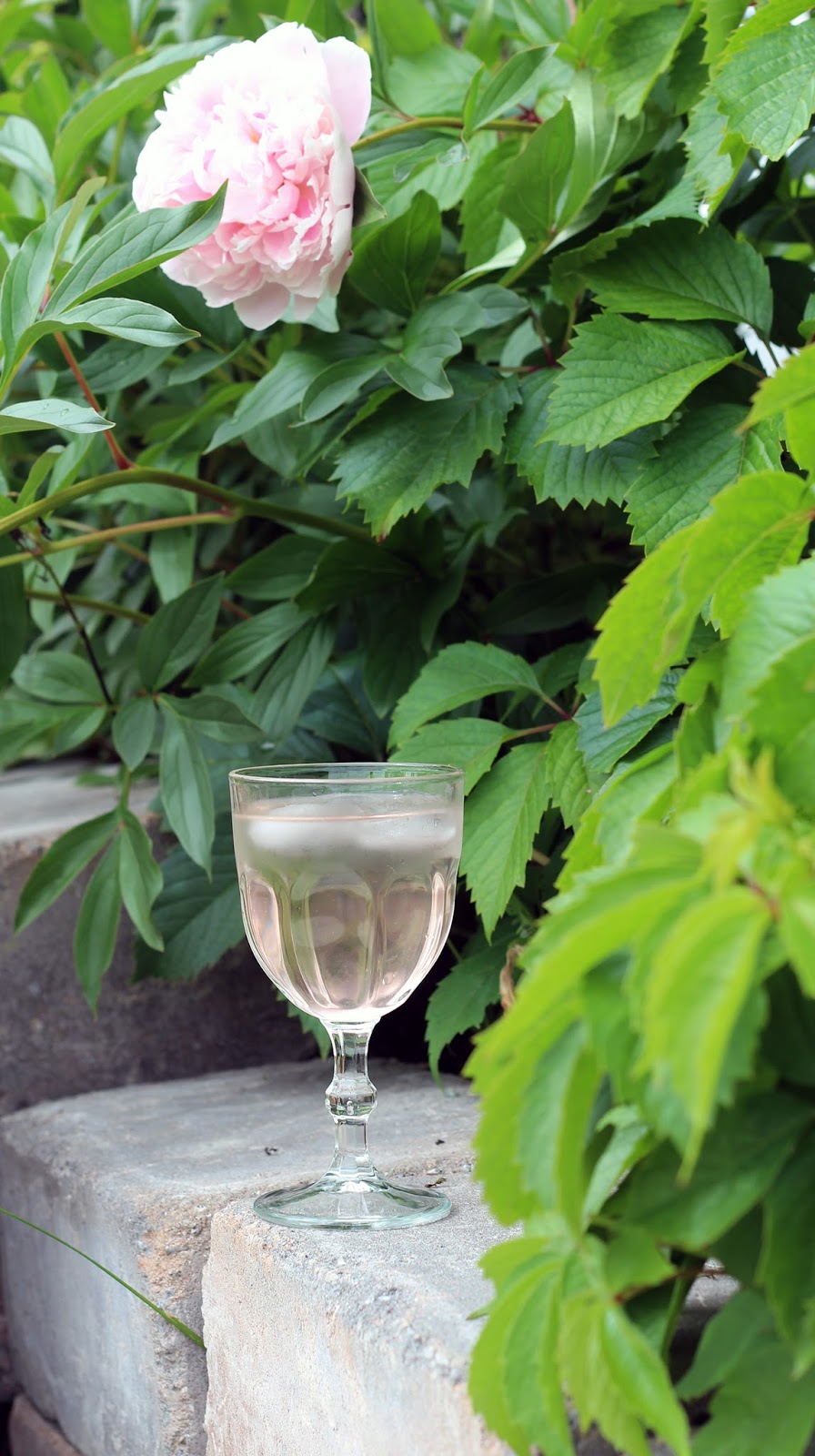 Mehua syreenin kukista / Kipparin morsian