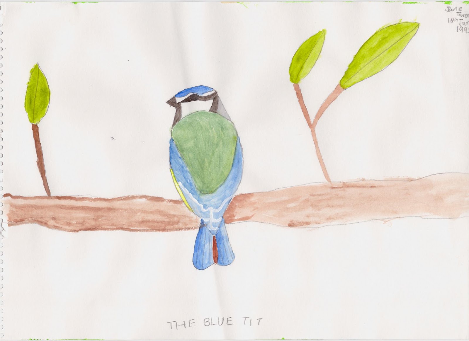 Learn.Draw.BIRD.: August 2013