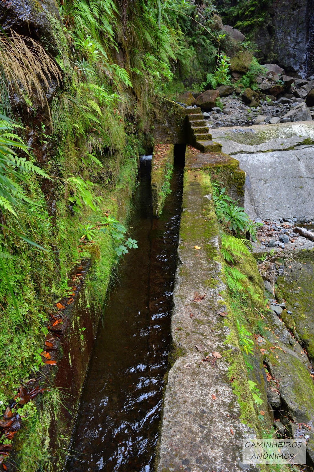 Caminheiros Anónimos Levadas da Madeira : Levada do Pico Ruivo (Ilha)