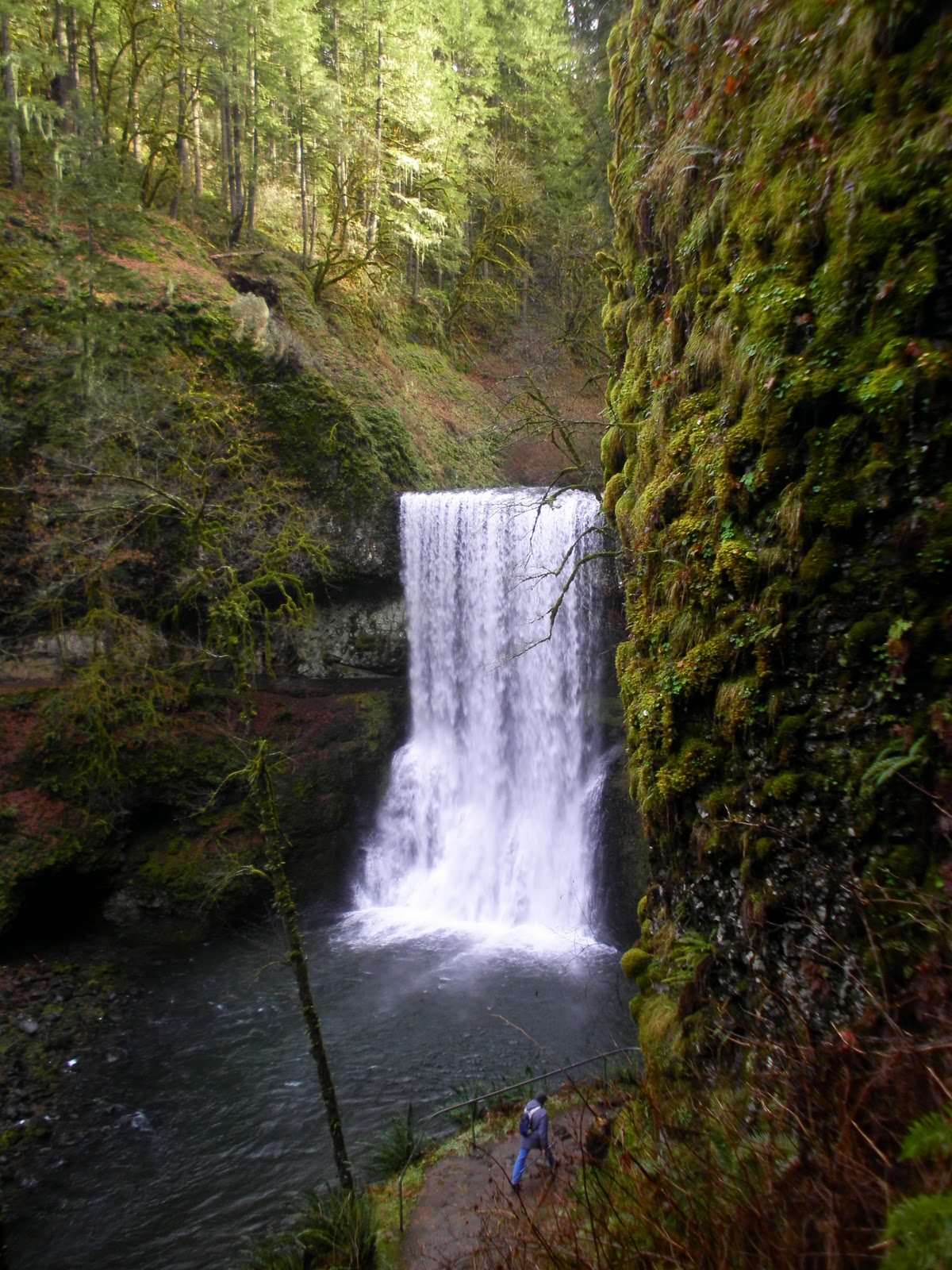 Black Watch Sasquatch: Silver Falls State Park - Silverton, Oregon