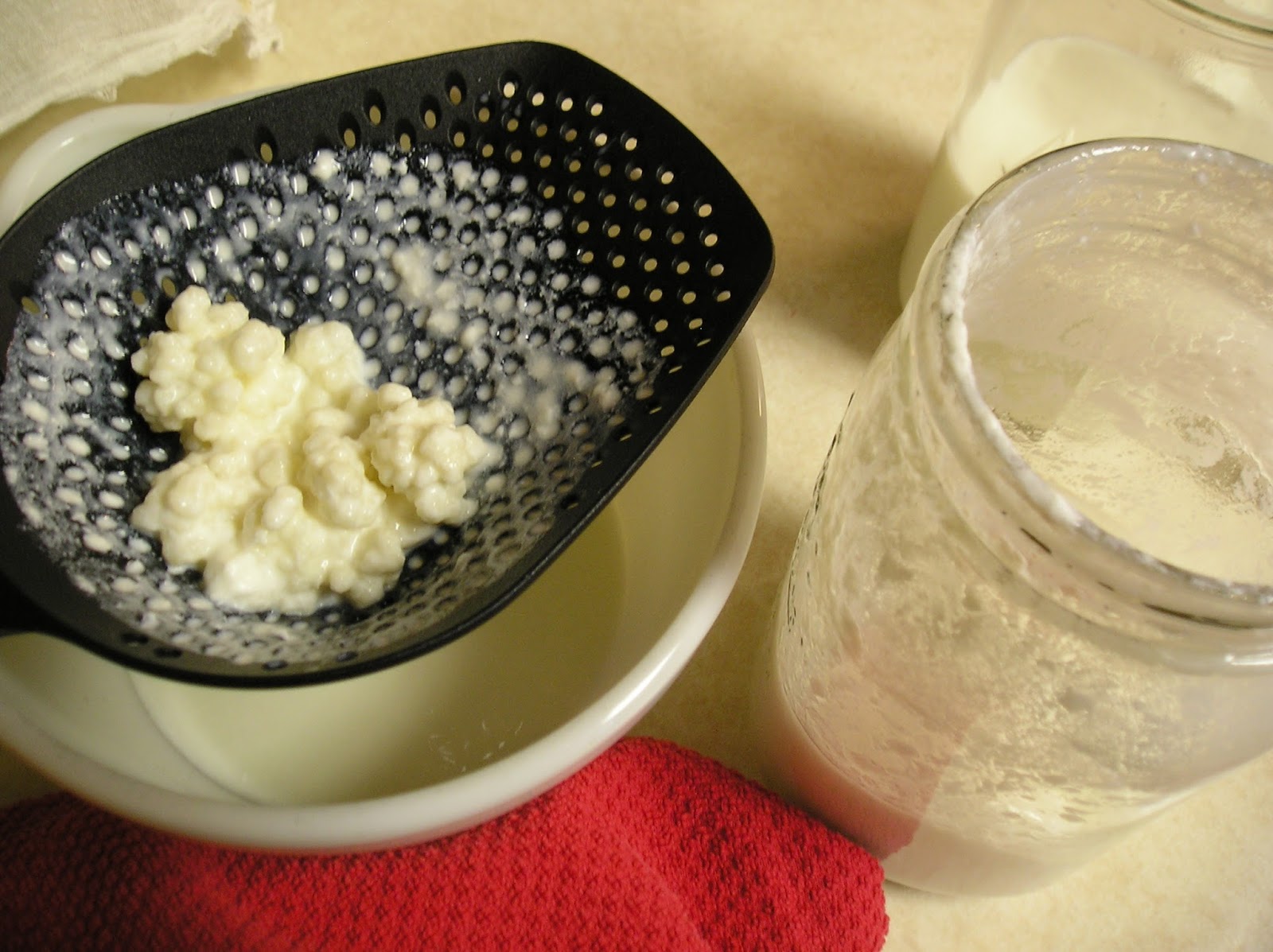 Thoughts from Frank and Fern: Trying Kefir