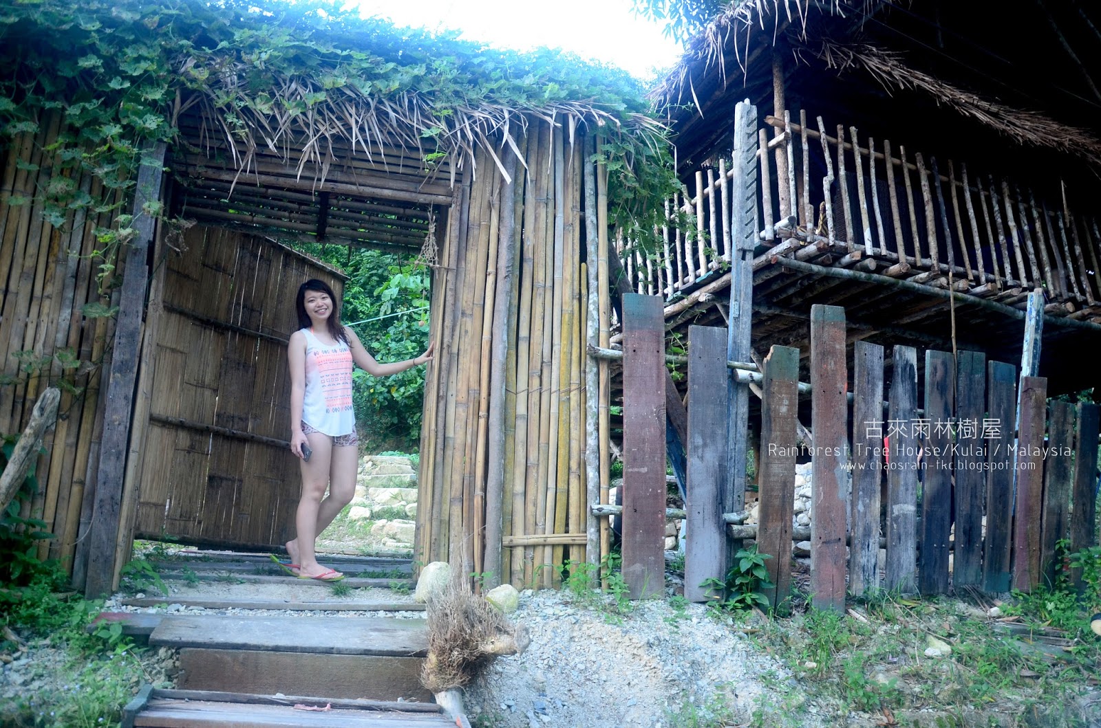 古來普萊山熱帶雨林 | 承載夢想的夢幻樹屋村落 | Rainforest Treehouse | Gunung Pulai, Kulai