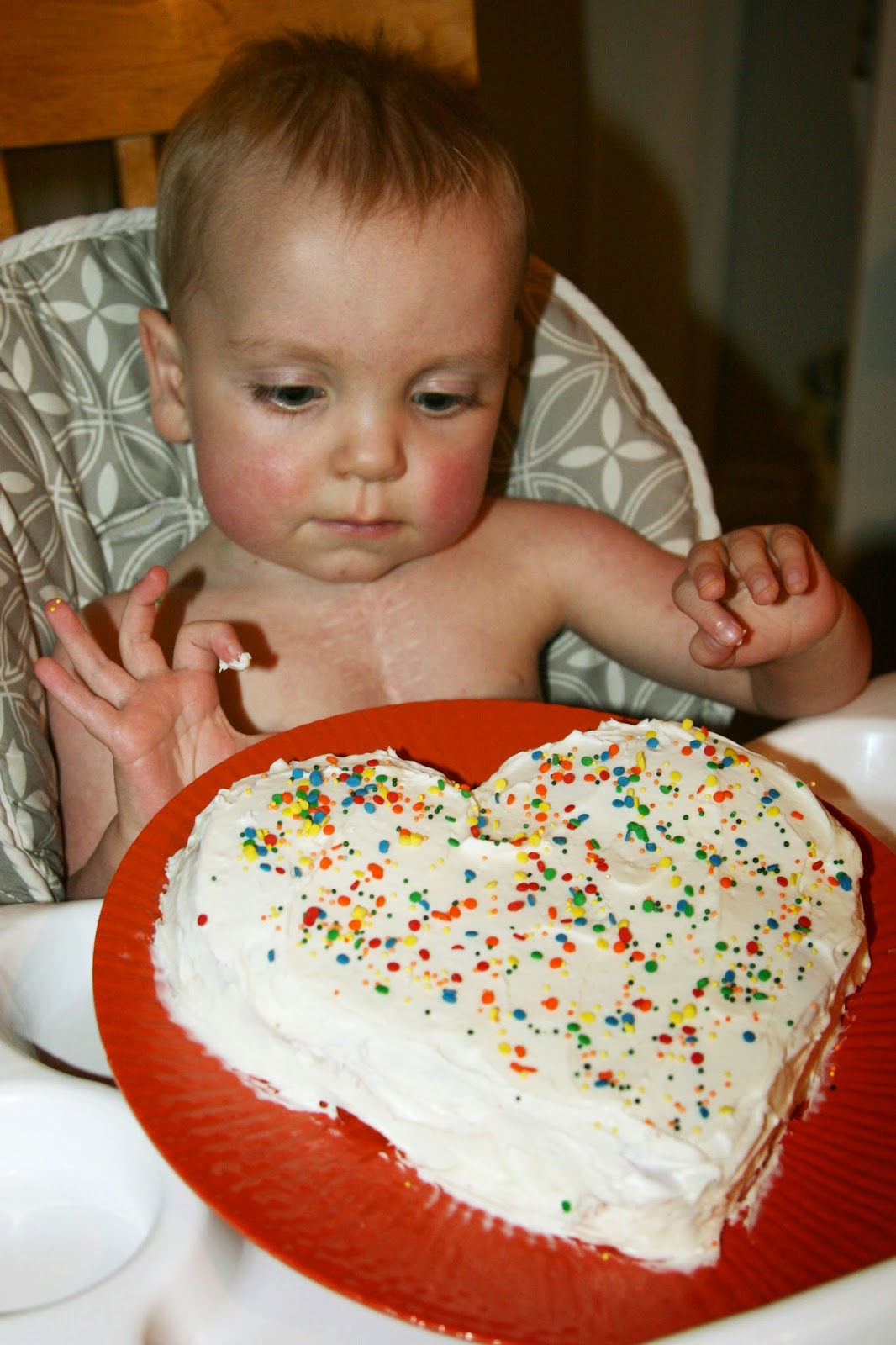 Bailey Beginnings: A Fresh Look at a New Life